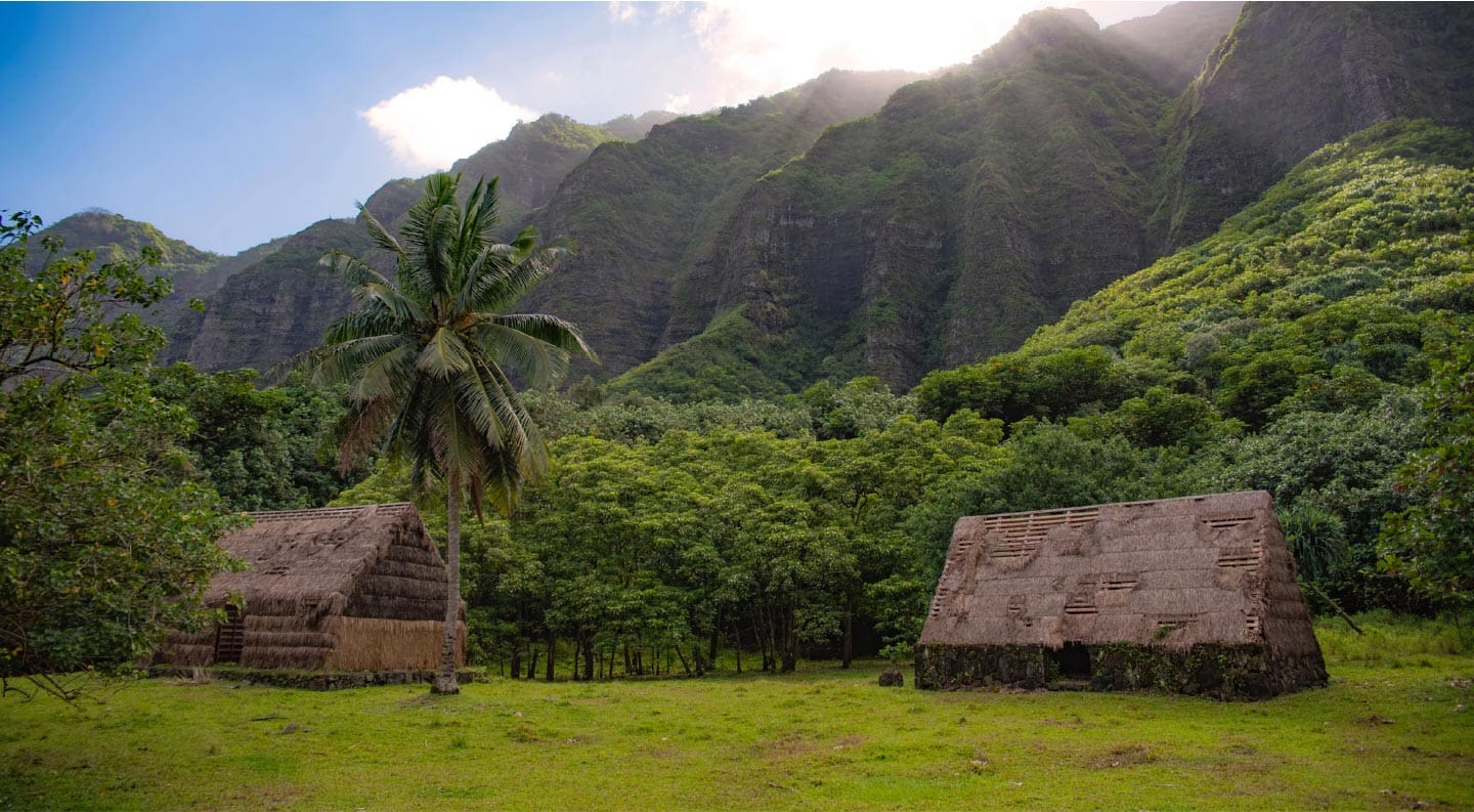 Council for Native Hawaiian Advancement | We Uplift Lāhui